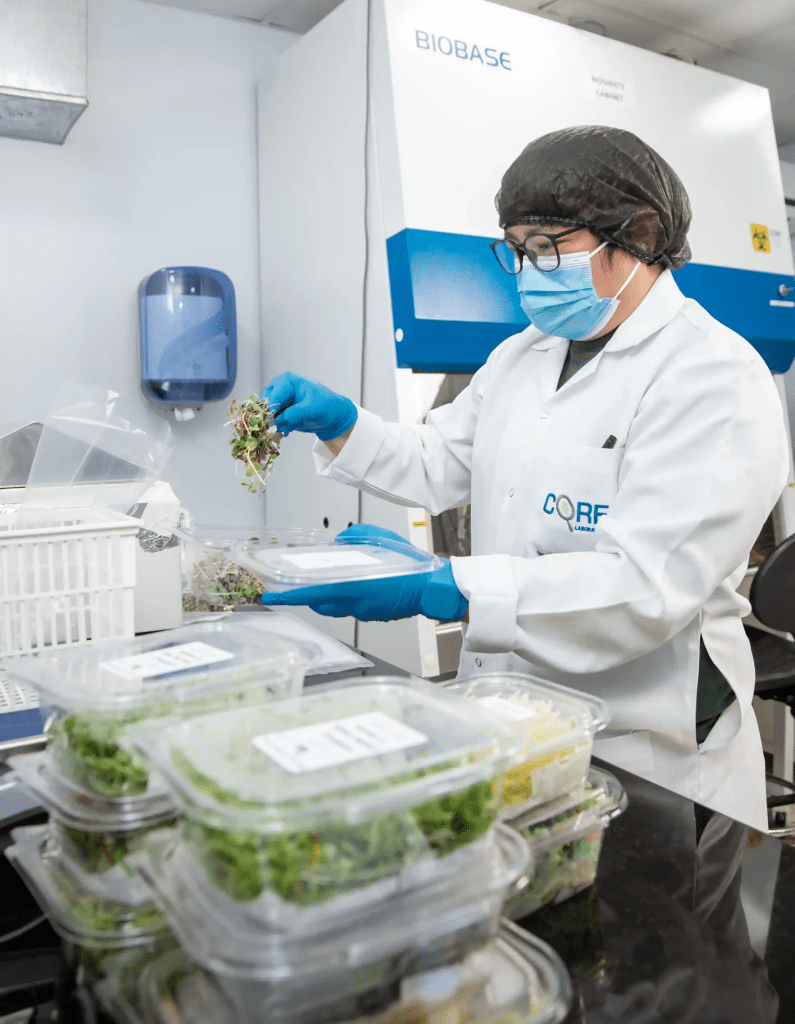 Meaning of Shelf Life in the Context of Environmental Impact Assessment – A Short Guide - Corelab